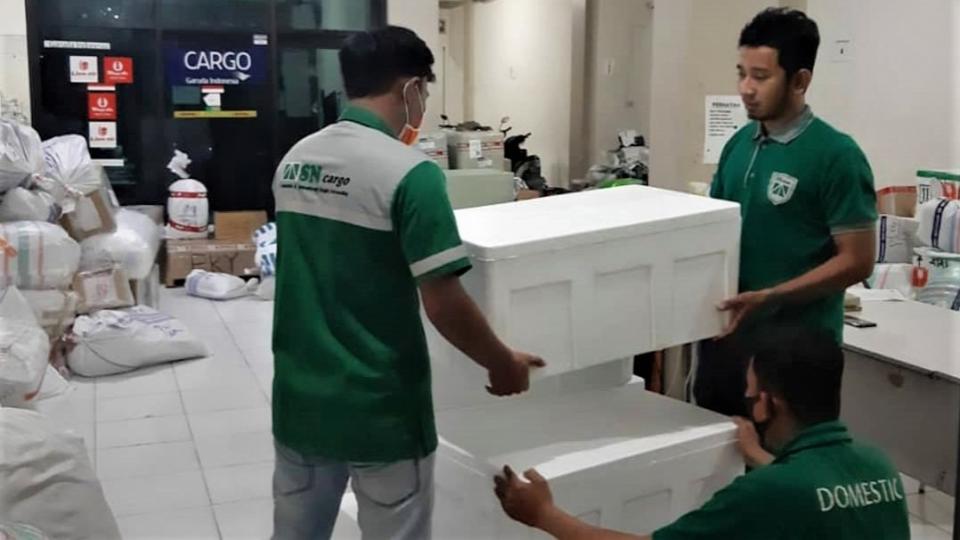 Cargo: Pengertian, Jenis, Klasifikasi Barang dan Contohnya